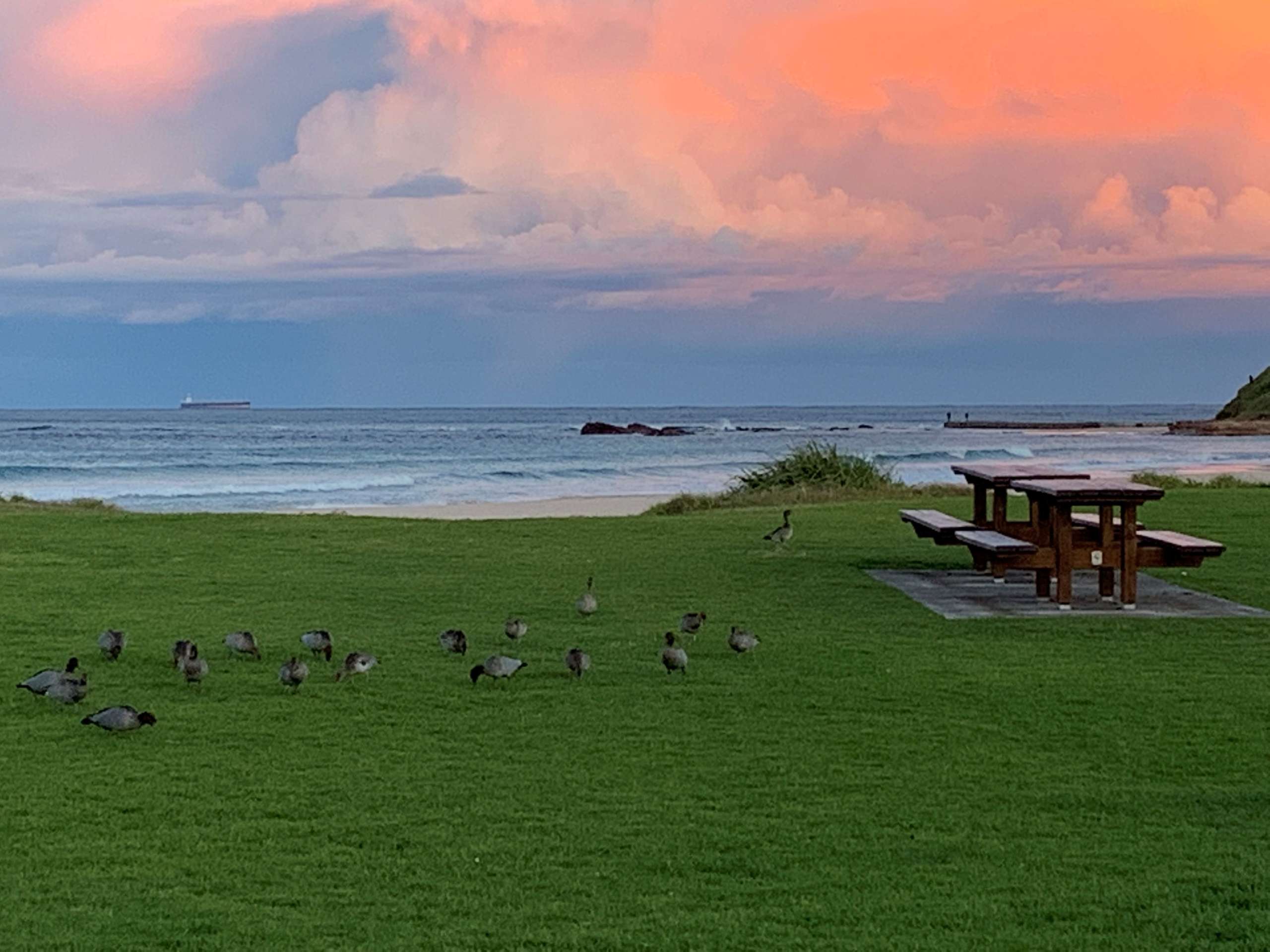 Meet Adele – Mindfulness & Pain Explained