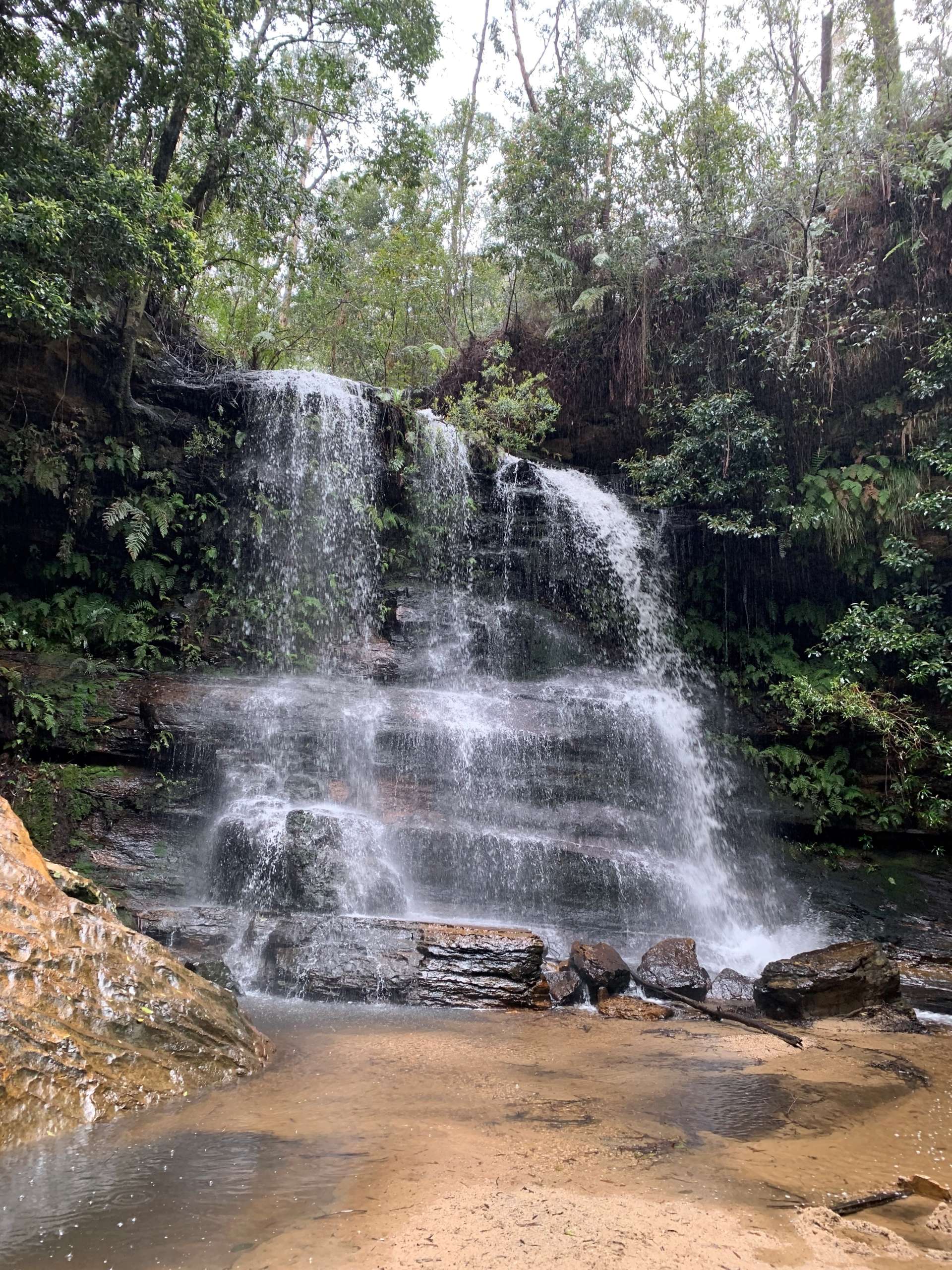 Mindfulness & Pain Explained with Dr. Adele Stewart – Mindfulness and ...