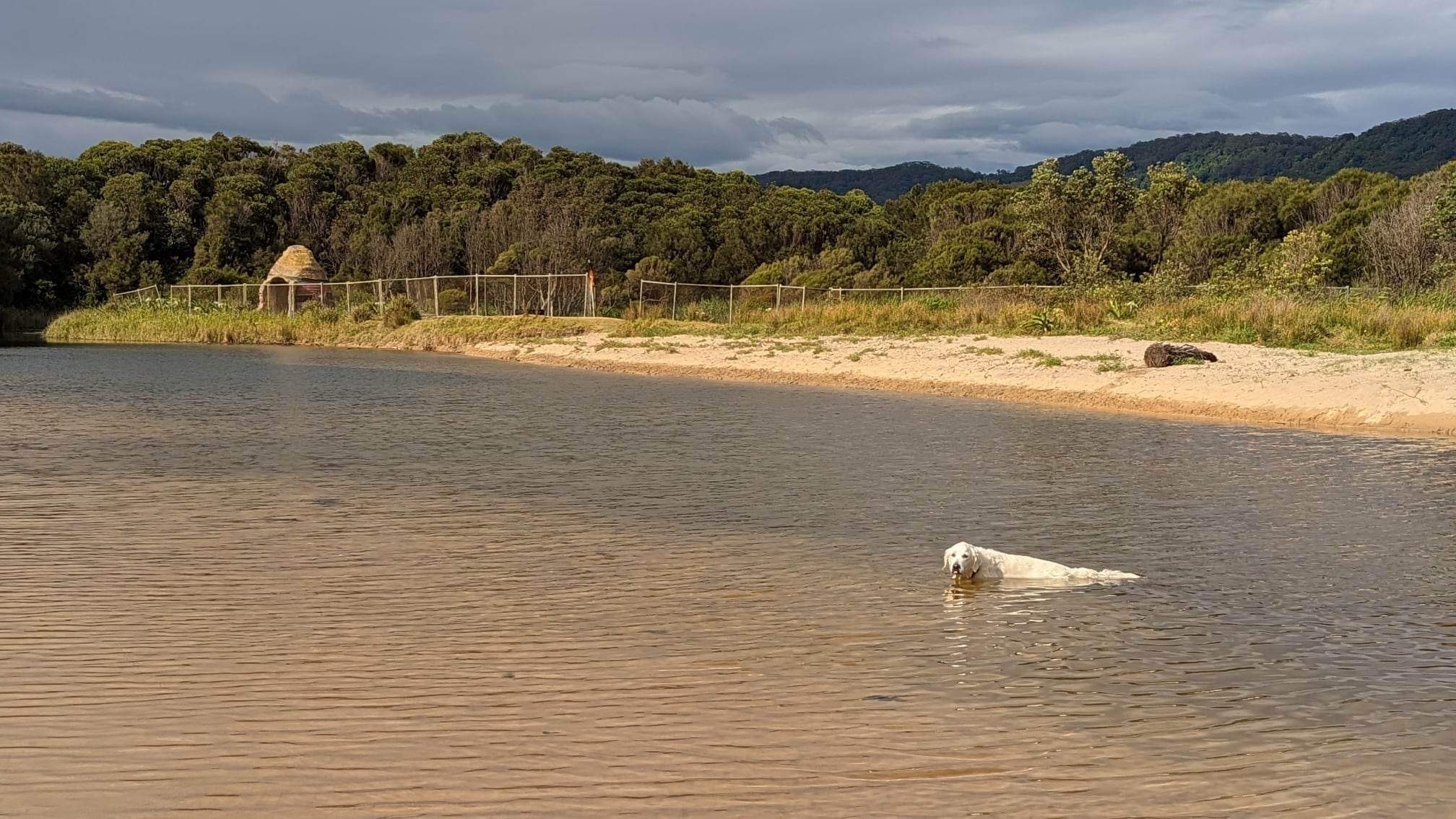 Wheel of Awareness and Nature of Mind Online Book Club Course – Mindfulness & Pain Explained ...