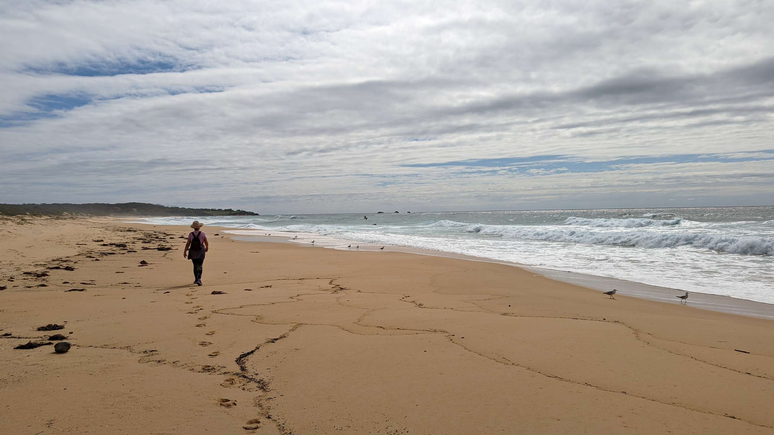 MSC – Mindful Self Compassion Course – Mindfulness & Pain Explained with Dr. Adele Stewart