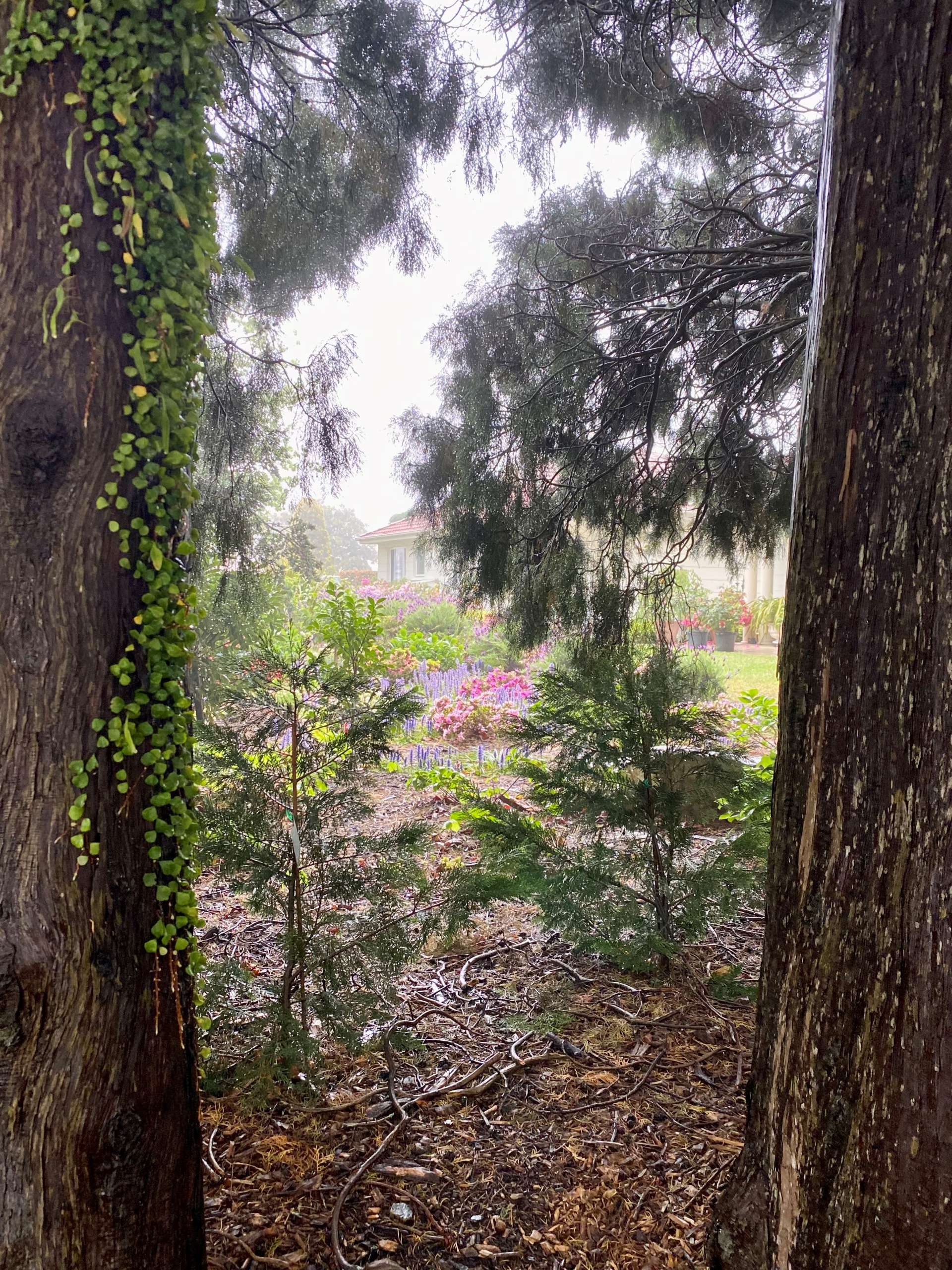 Therapy, Neuroscience & Other Resources – Mindfulness & Pain Explained with Dr. Adele Stewart