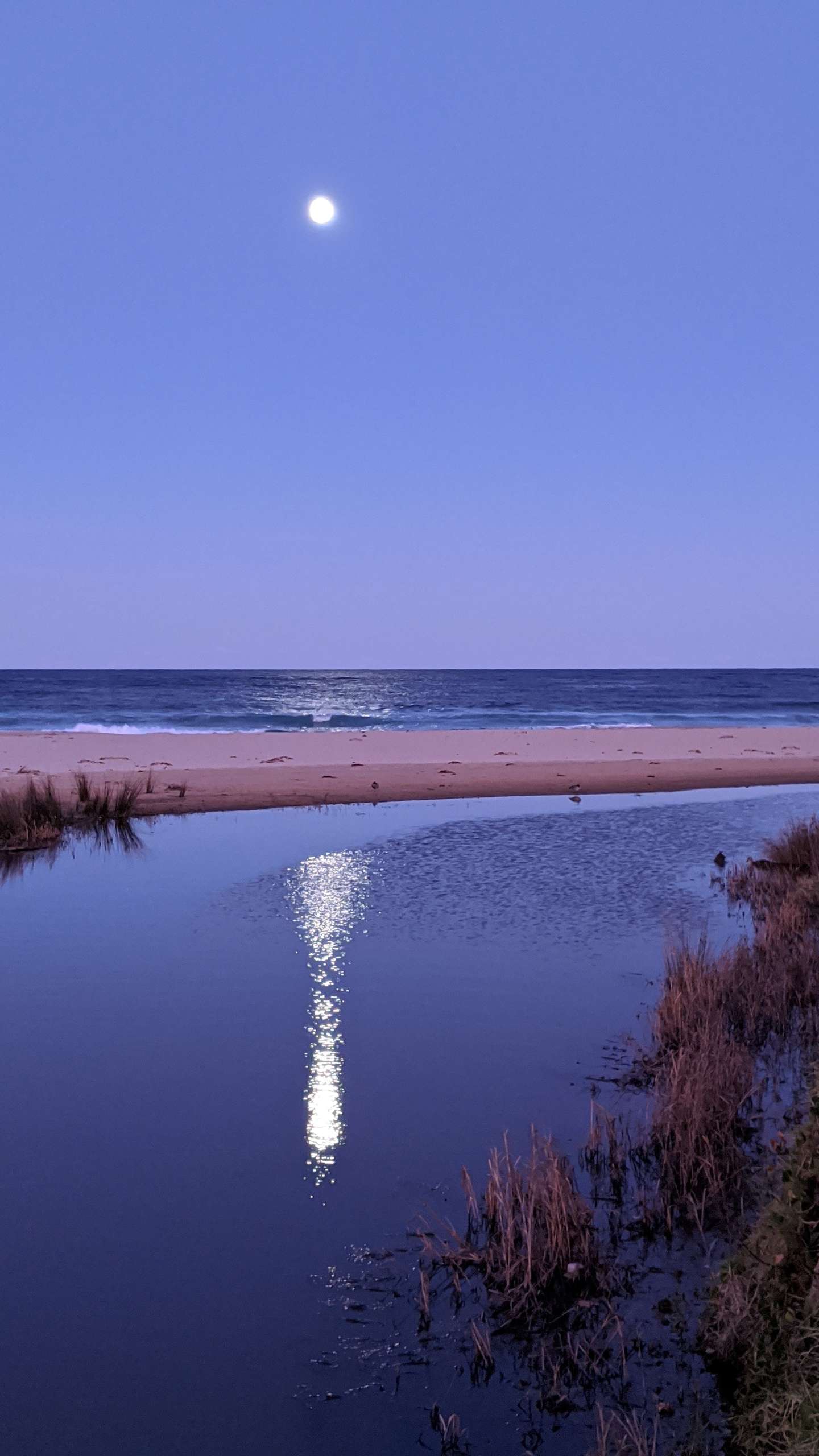 Movement Meditation Resources – Mindfulness & Pain Explained with Dr. Adele Stewart