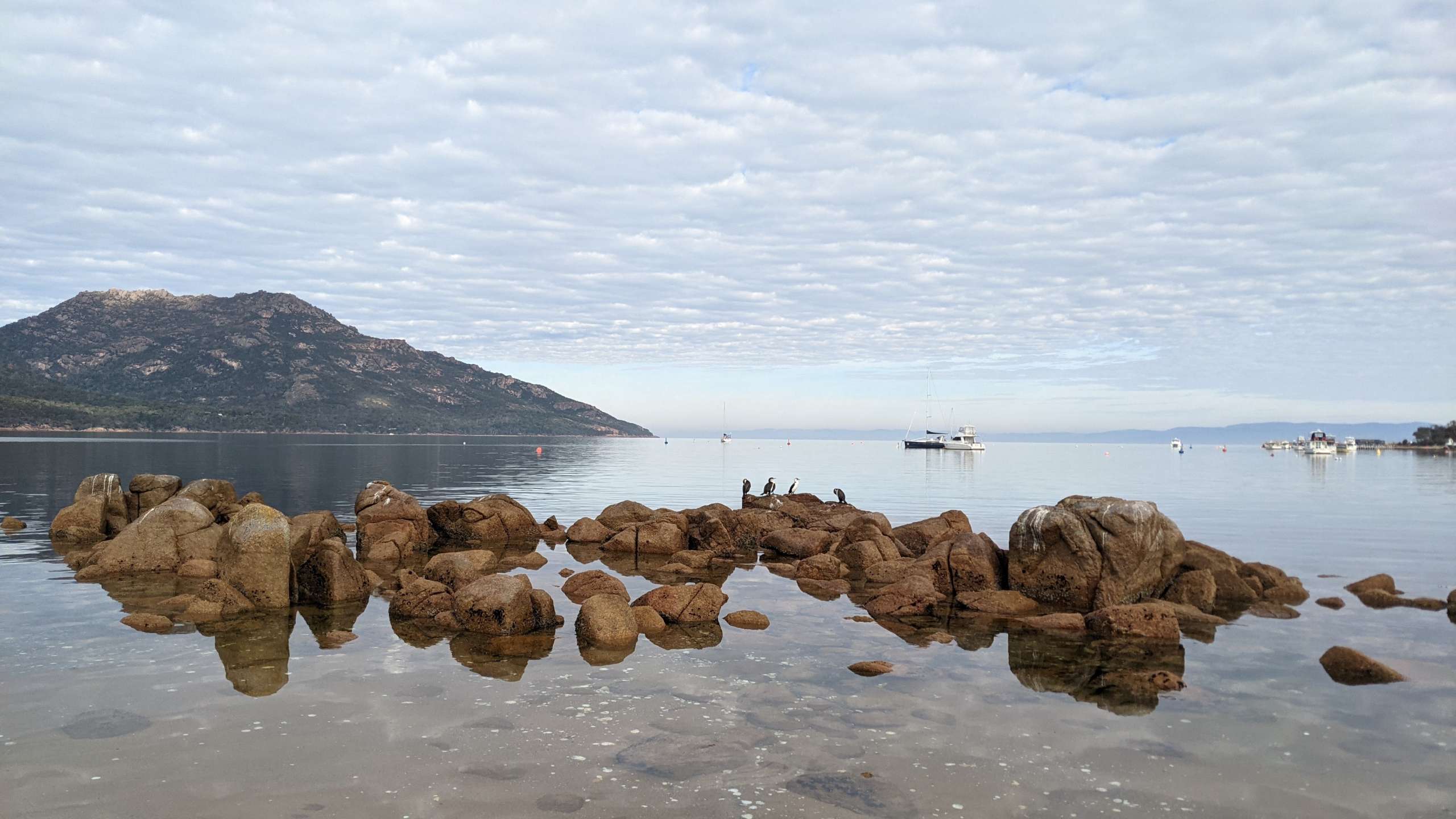 How Emotions Trick the Brain: Prediction, hedonic tone and body ...