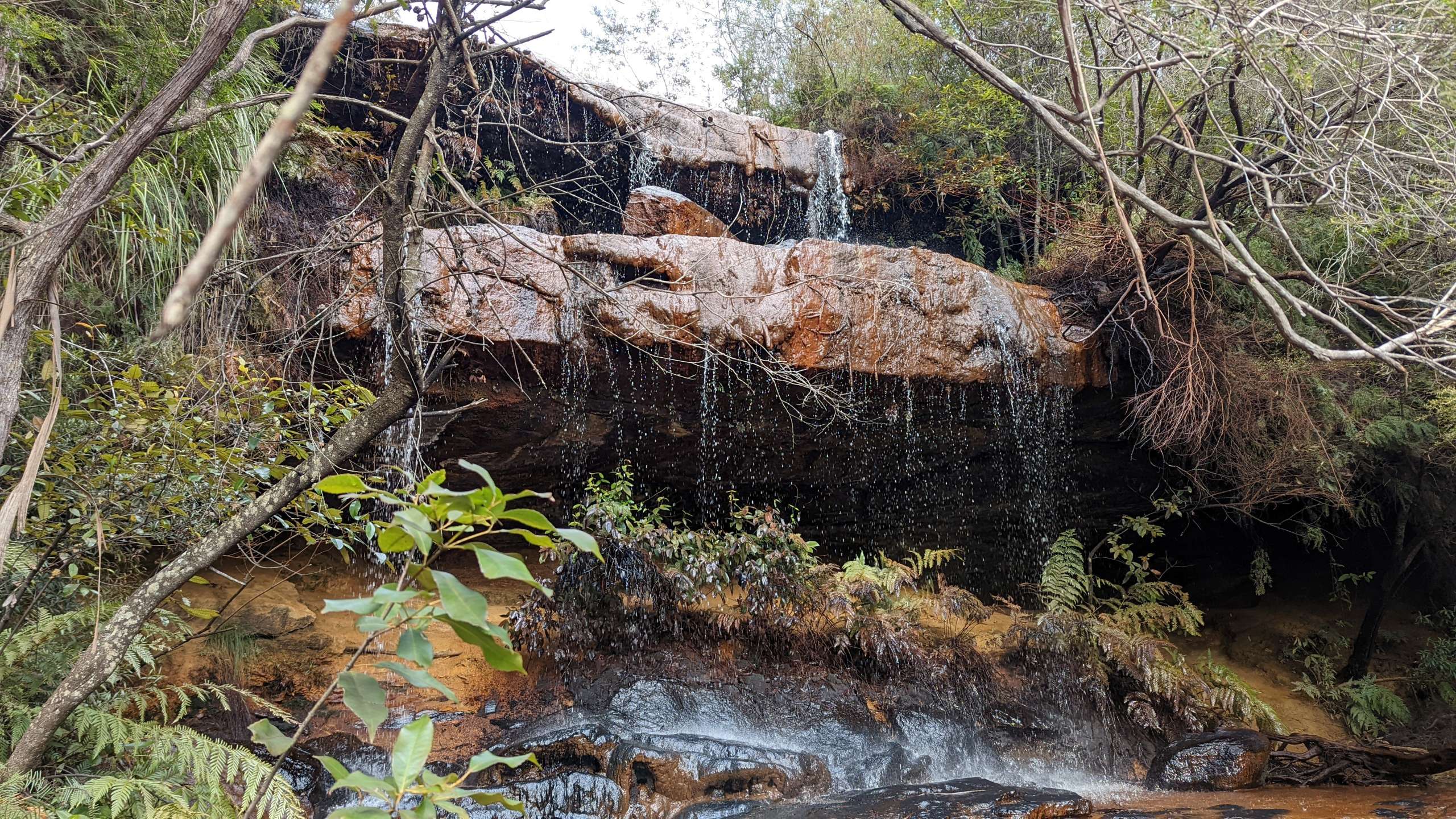 Pain Explained Resources – Mindfulness & Pain Explained with Dr. Adele Stewart