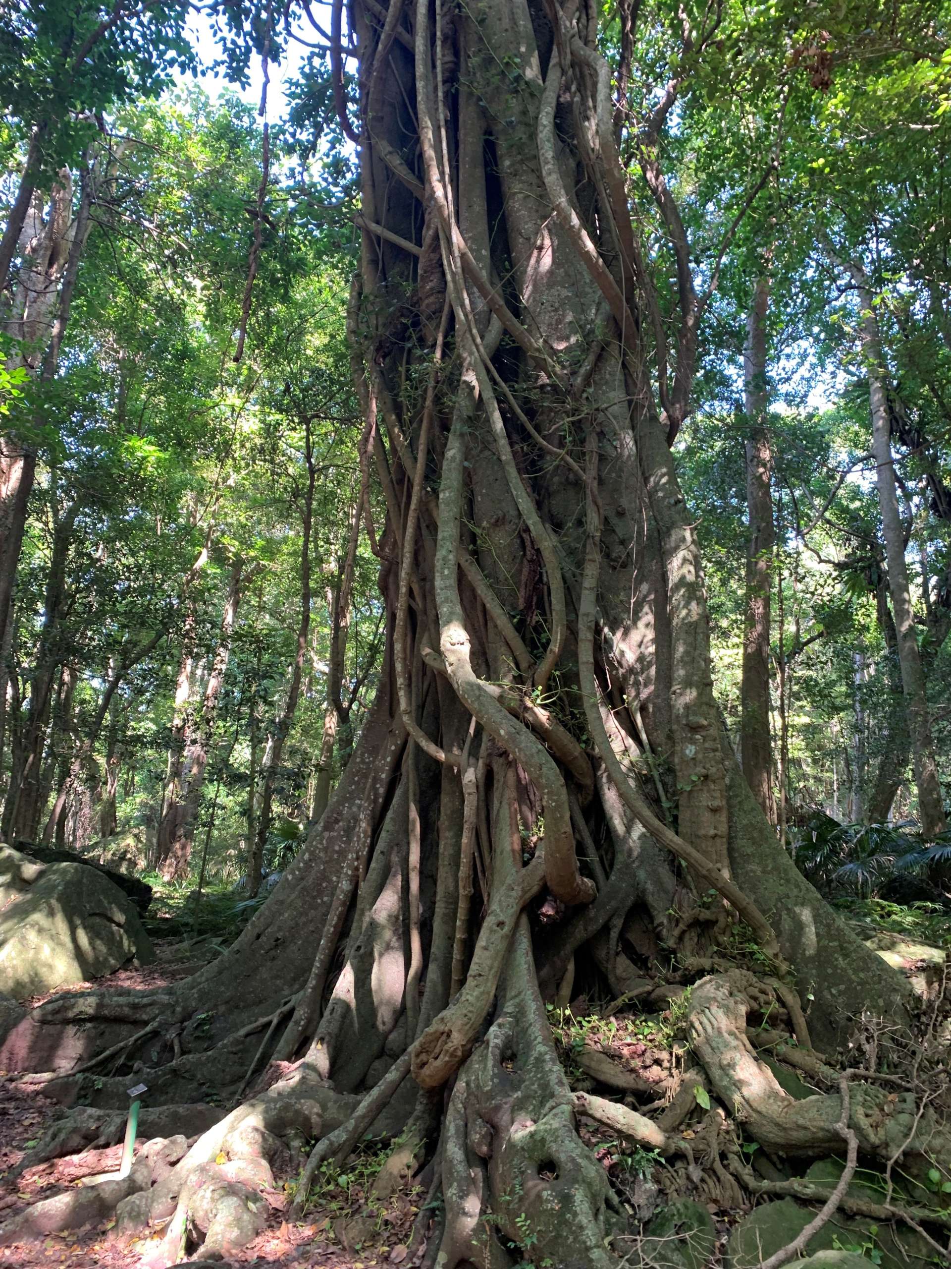 Health Professional Resources – Mindfulness & Pain Explained with Dr ...